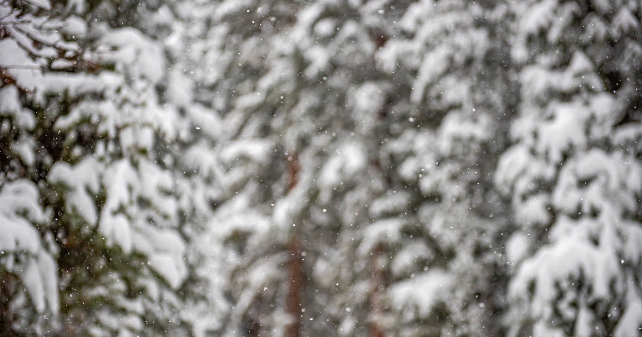 Climate Week In Review: November 13, 2020 - Protect Our Winters