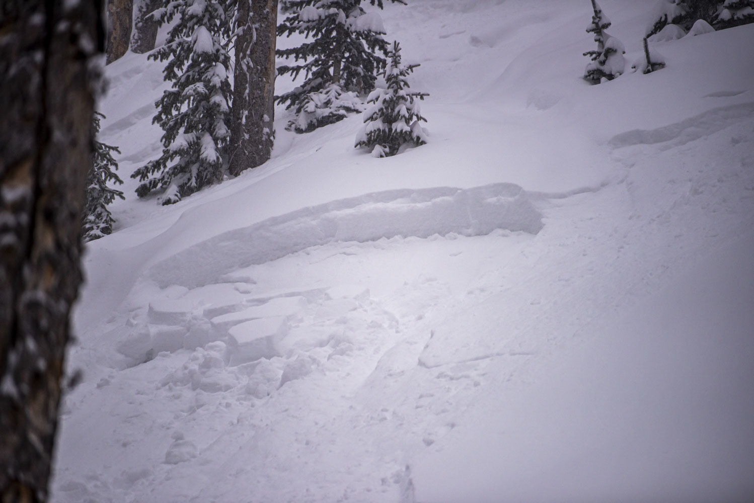 How Climate Change Impacts Avalanche Conditions - Protect Our Winters