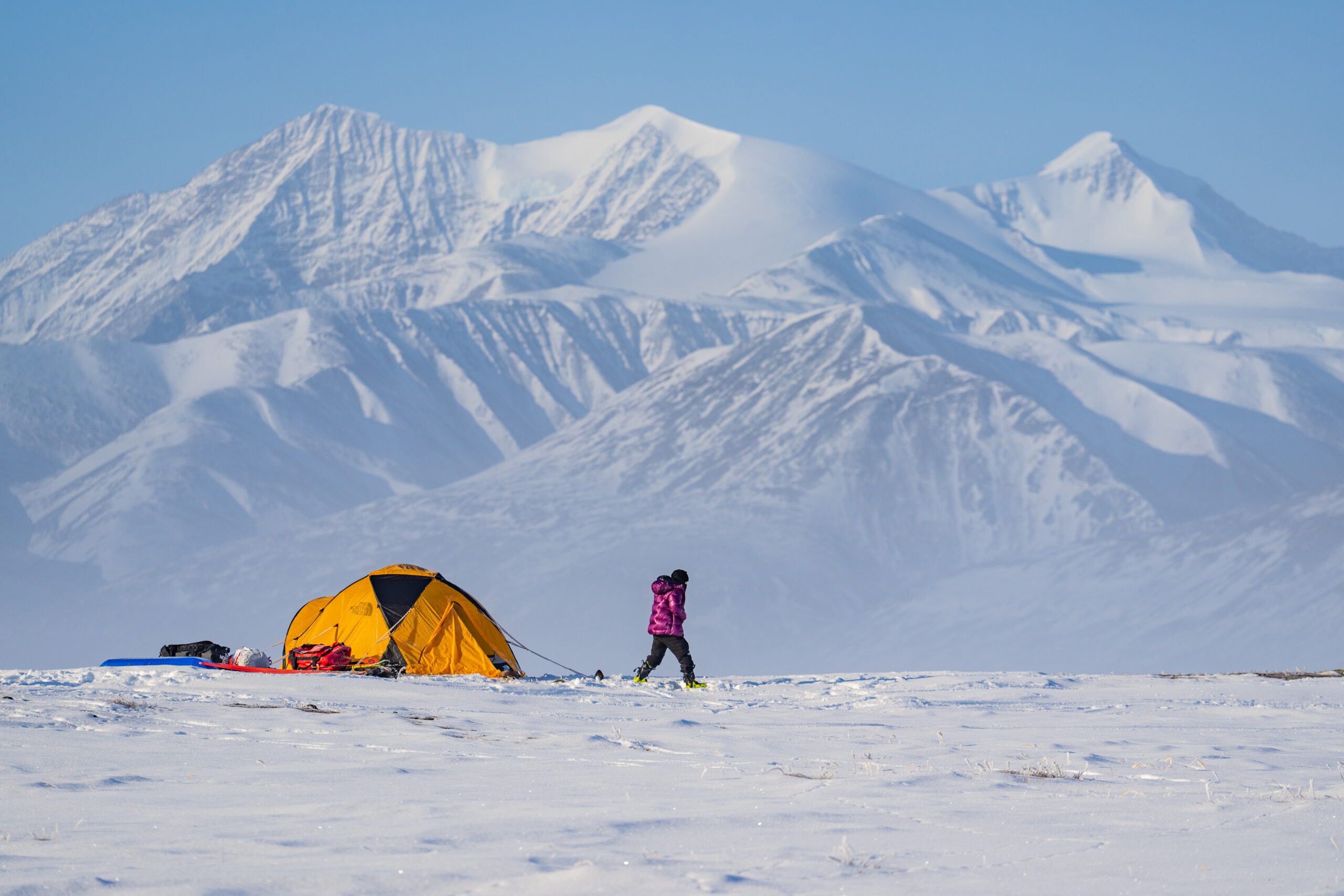 "Beyond the Summit" showcases the fragility of the Arctic's ecosystem ...