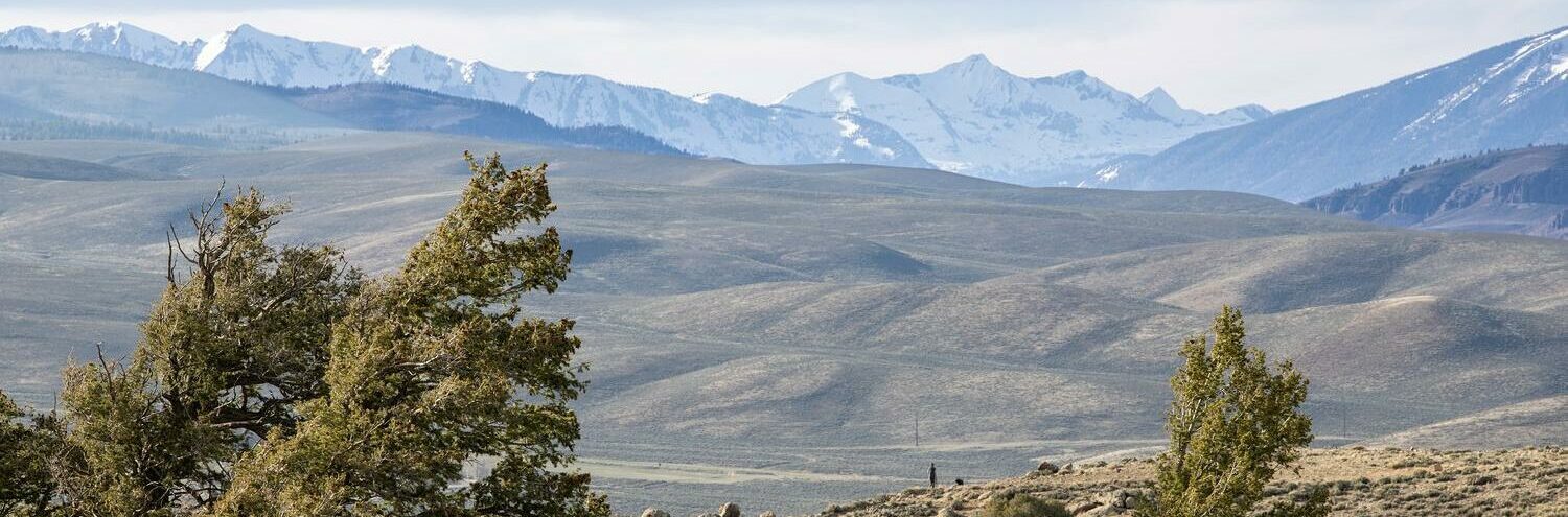 The Thompson Divide - Protect Our Winters