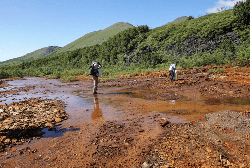 Arctic Rust - Protect Our Winters