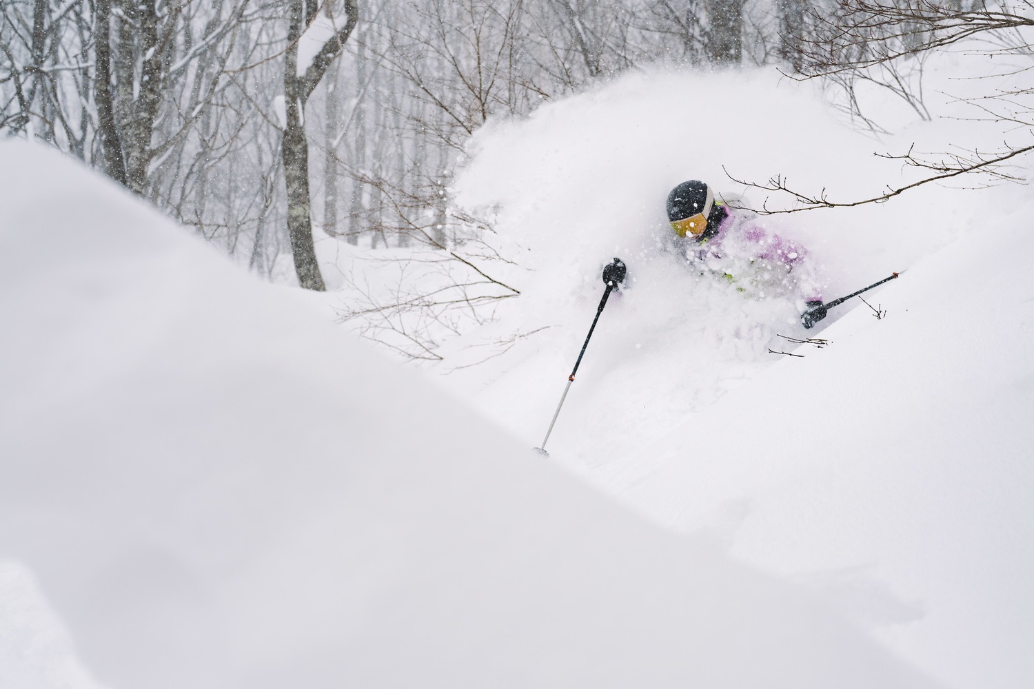 Ski Butlers - Protect Our Winters