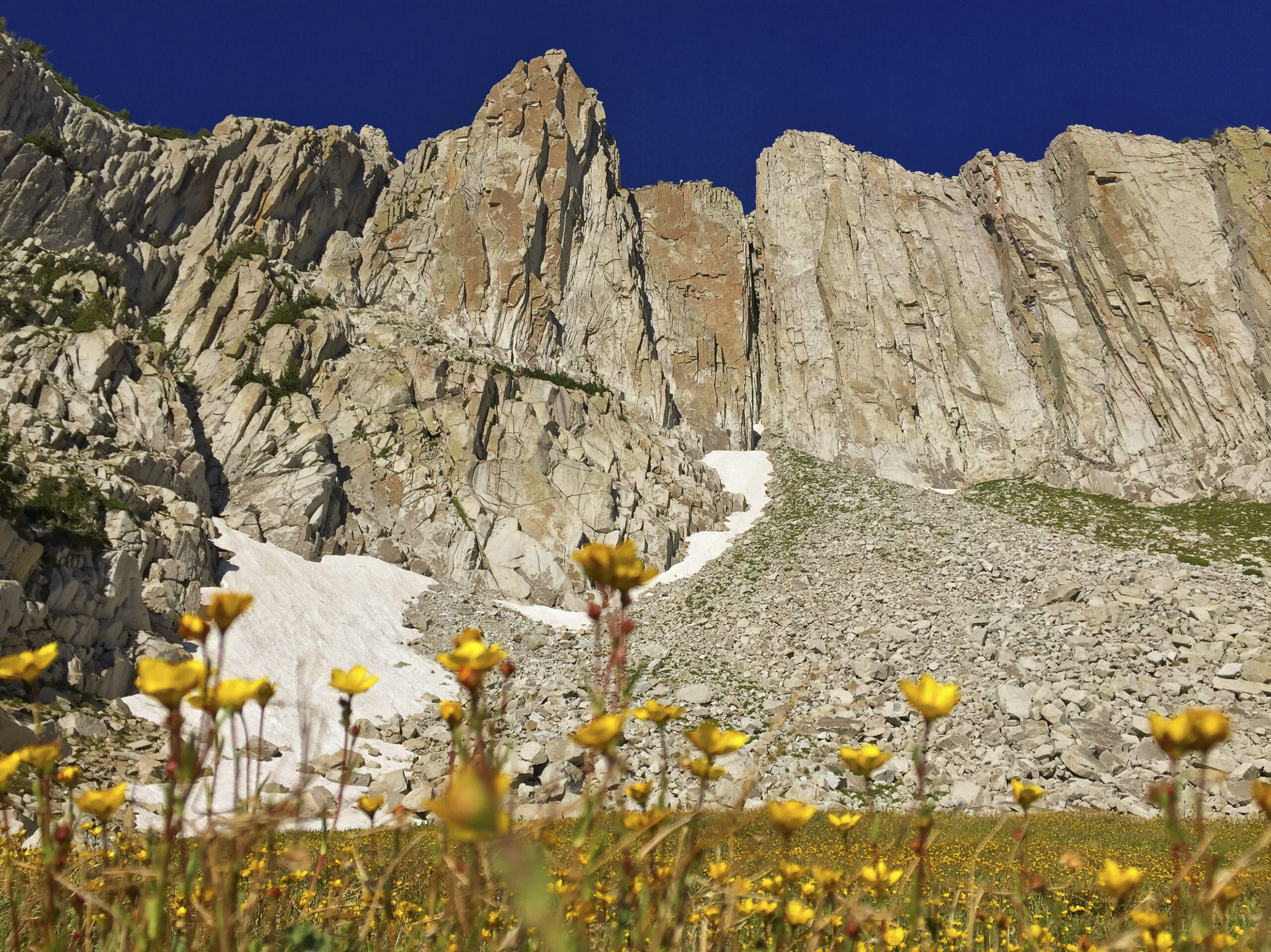 Nikki Smith’s Ode to Lone Peak - Protect Our Winters