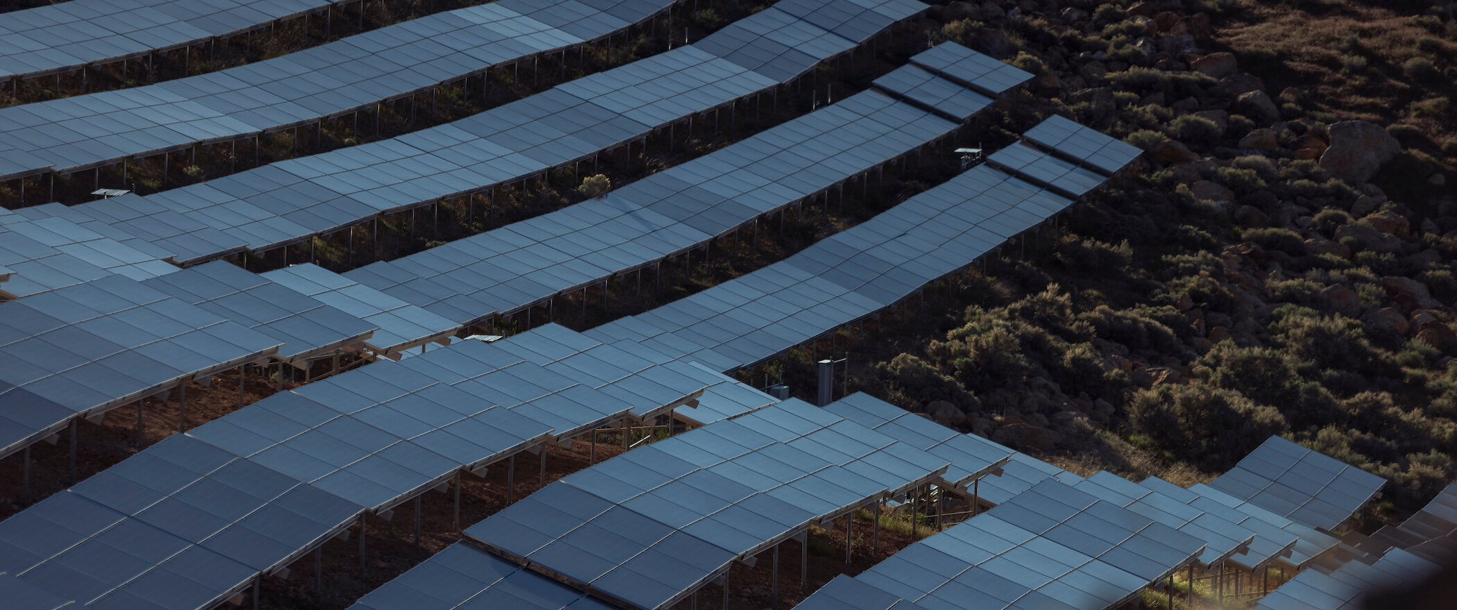 Clean Energy Campaign - Protect Our Winters