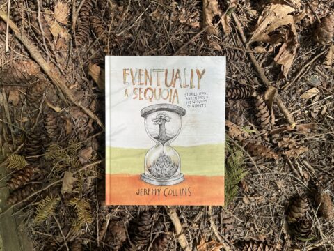 Eventually a Sequoia – POW Creative Alliance member Jeremy Collins on Writing, Art, and Creating ...